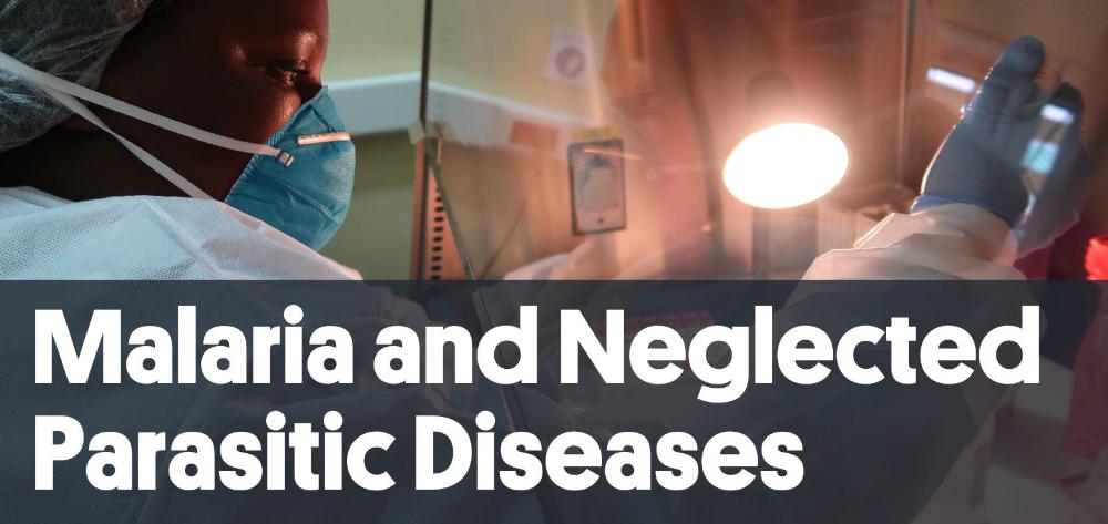 Programmes - ISGLOBAL